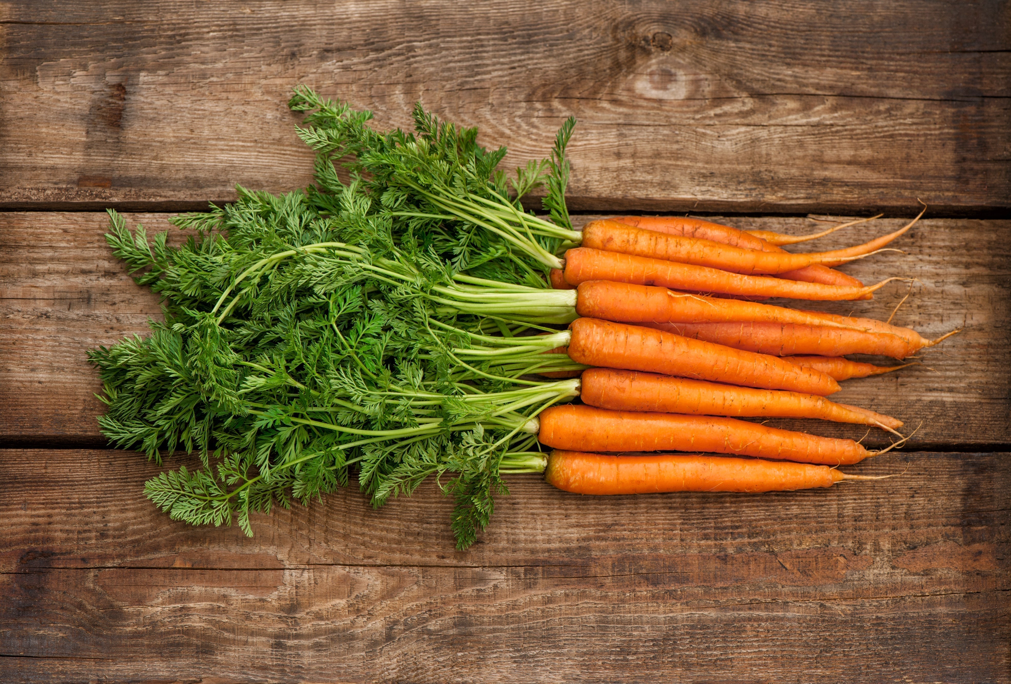 Carrots - Everything you need to know! – Equal Food