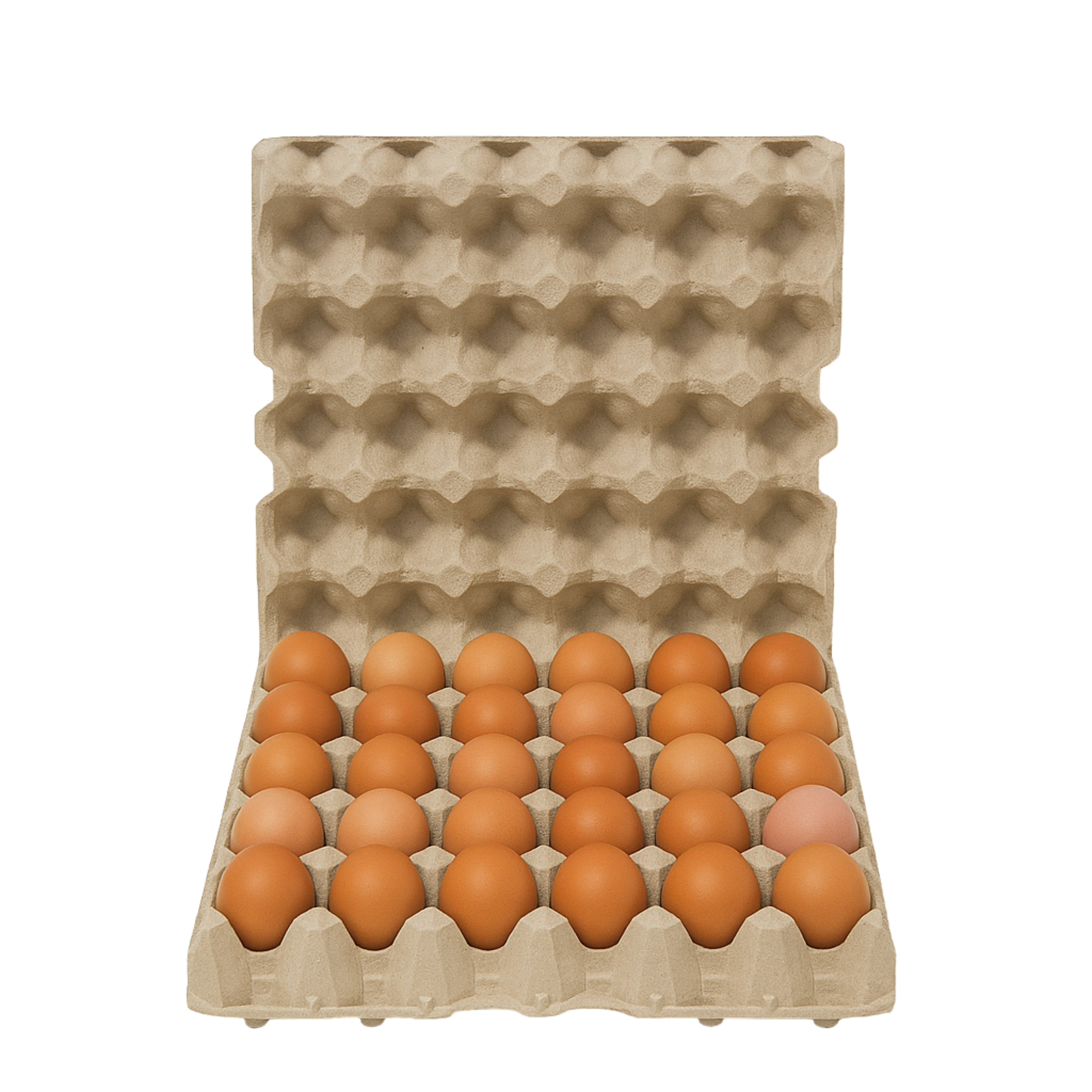 Ovos (M, 60 unidades) - Equal Food
